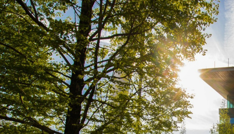 Report + Support - Report + Support - University of South Wales